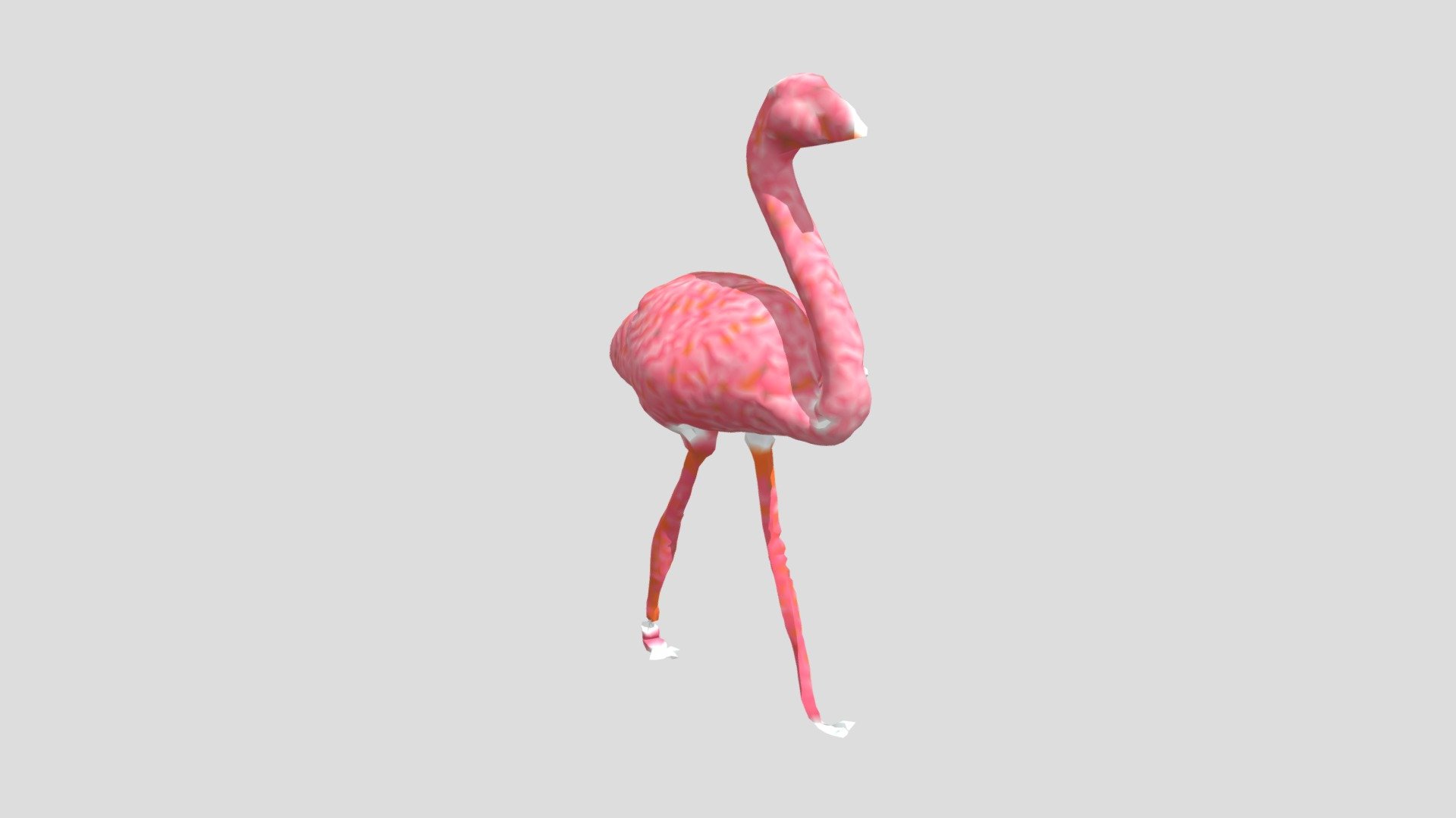 Flamingo 3d Model By Nadav Genielabs Benoudiz15 [69c3bdc] Sketchfab