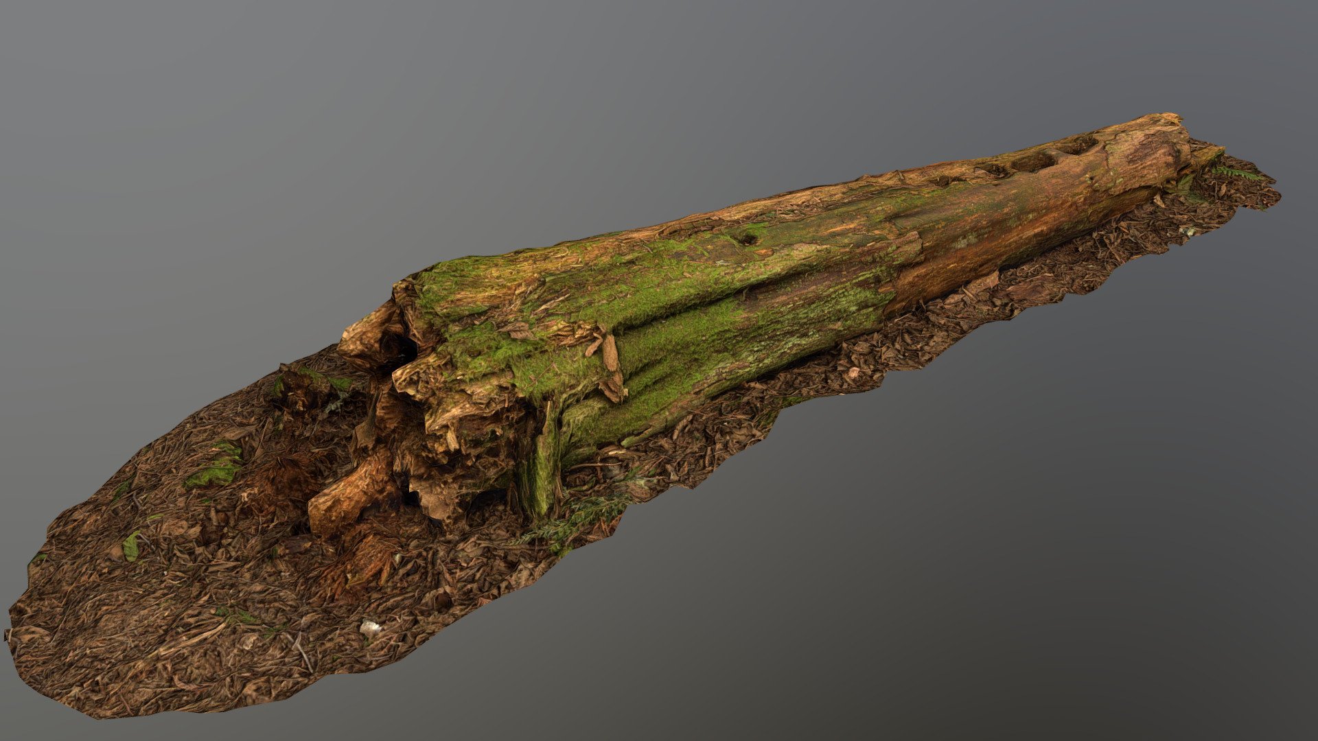 Mossy Log - 3D model by peter54 [69c80db] - Sketchfab