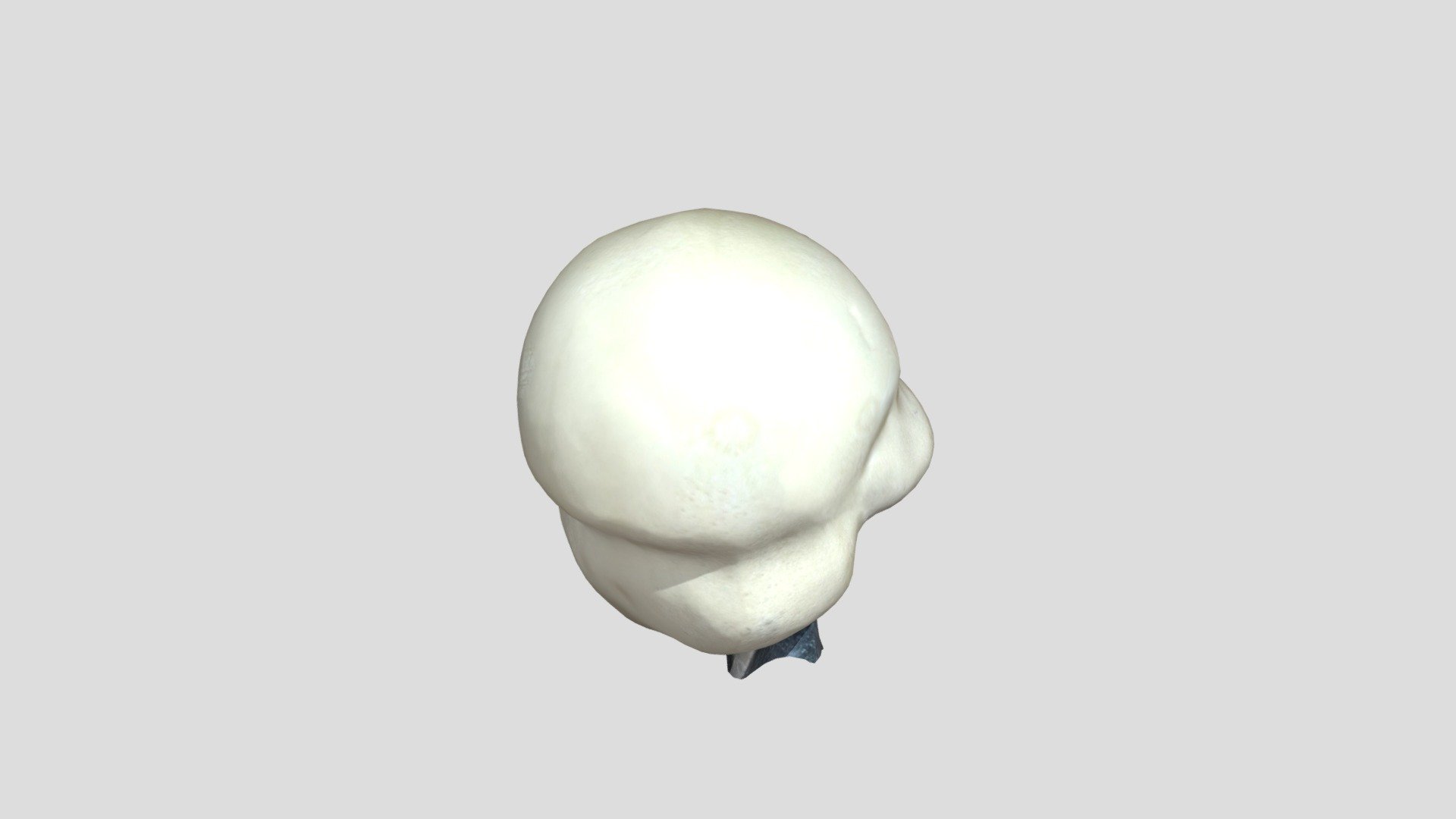 Humeral_Head - 3D model by Reibleskaes [69cb5aa] - Sketchfab