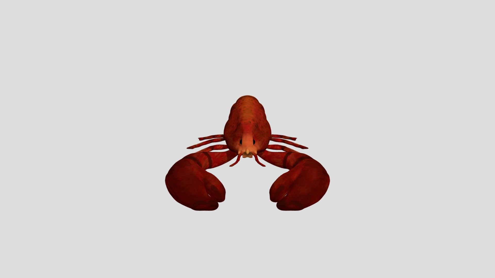 Lobster Painterly - 3D model by sarahrose28 [69cbbcb] - Sketchfab