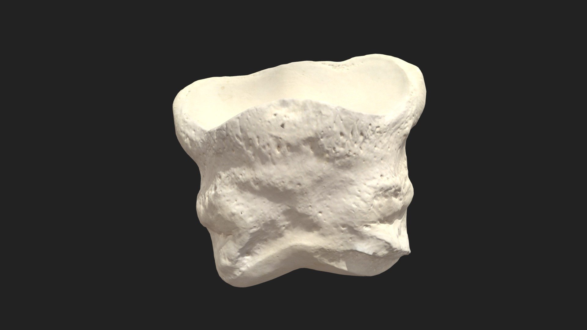short pastern bone (os coronale) pony - Download Free 3D model by ...
