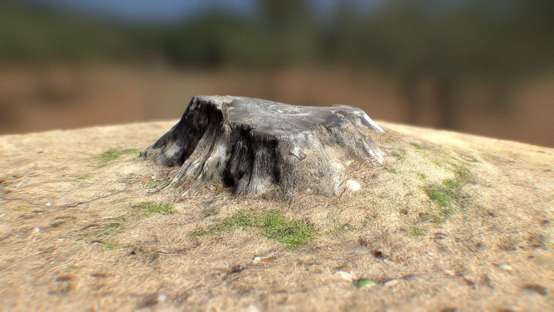 Stump - Download Free 3D model by defnotdan [69d4476] - Sketchfab