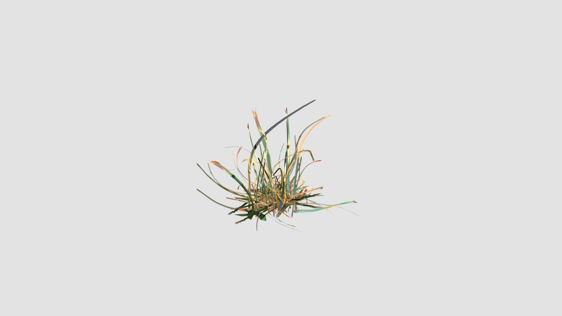 simple grass - Buy Royalty Free 3D model by Evermotion [69da47e ...