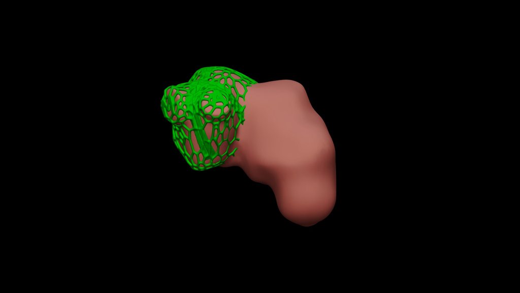 ORGANS - A 3D model collection by Chair_Digital_Anatomy - Sketchfab