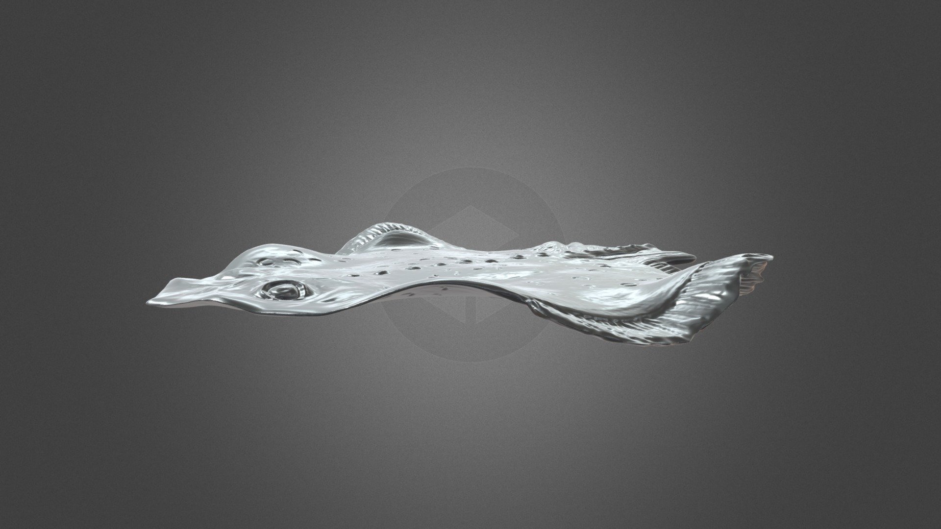 Skate W /Tail-FINAL - 3D model by Capture It In 3D (@CaptureMeIn3D ...