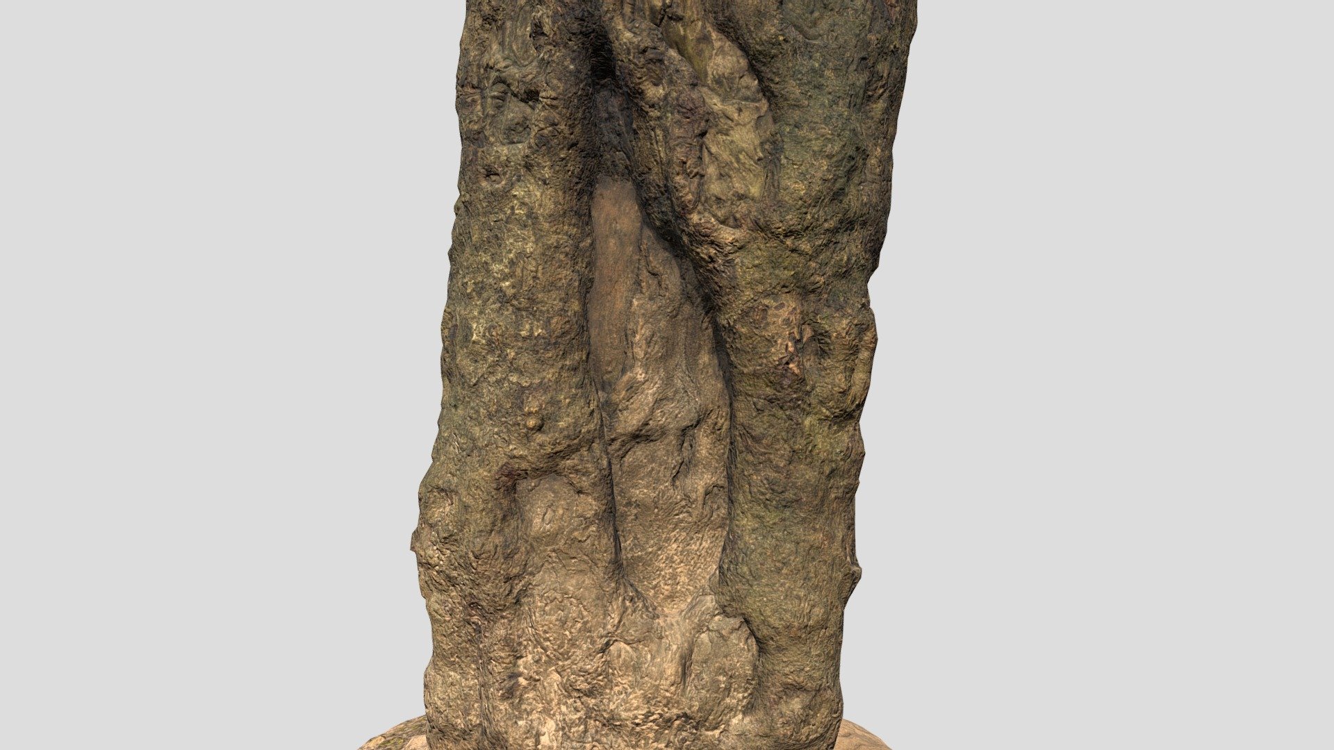 Photogrammetry Scan Tree Trunk - 3D model by Pod 8 Studios ...