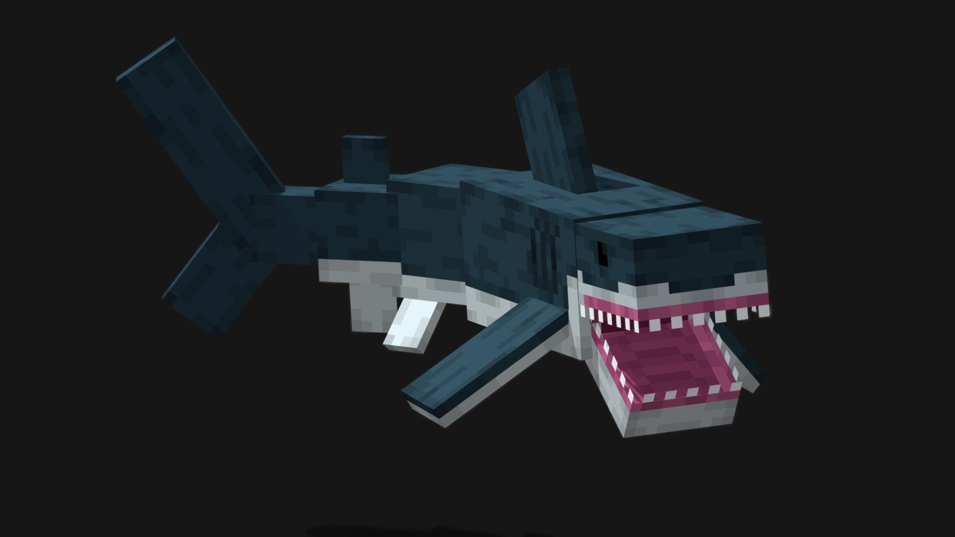 Shark - 3D model by Derp (@derp_mcaddon) [69e53bf] - Sketchfab