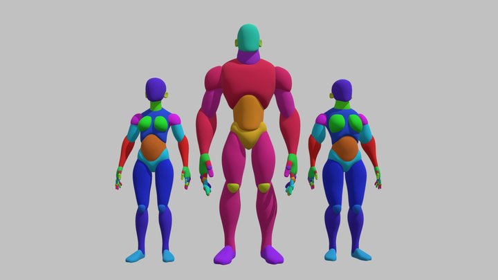 Proportions 3D models - Sketchfab