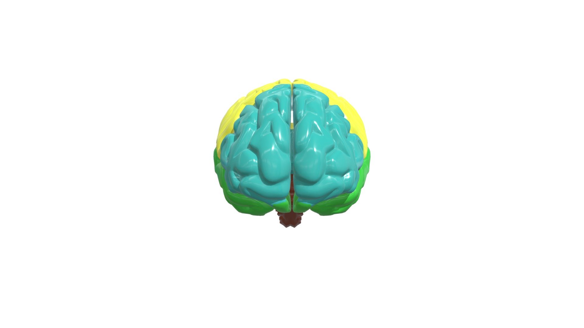So Nice Neuroscience - 3D model by homedu.academy [69f0c8a] - Sketchfab
