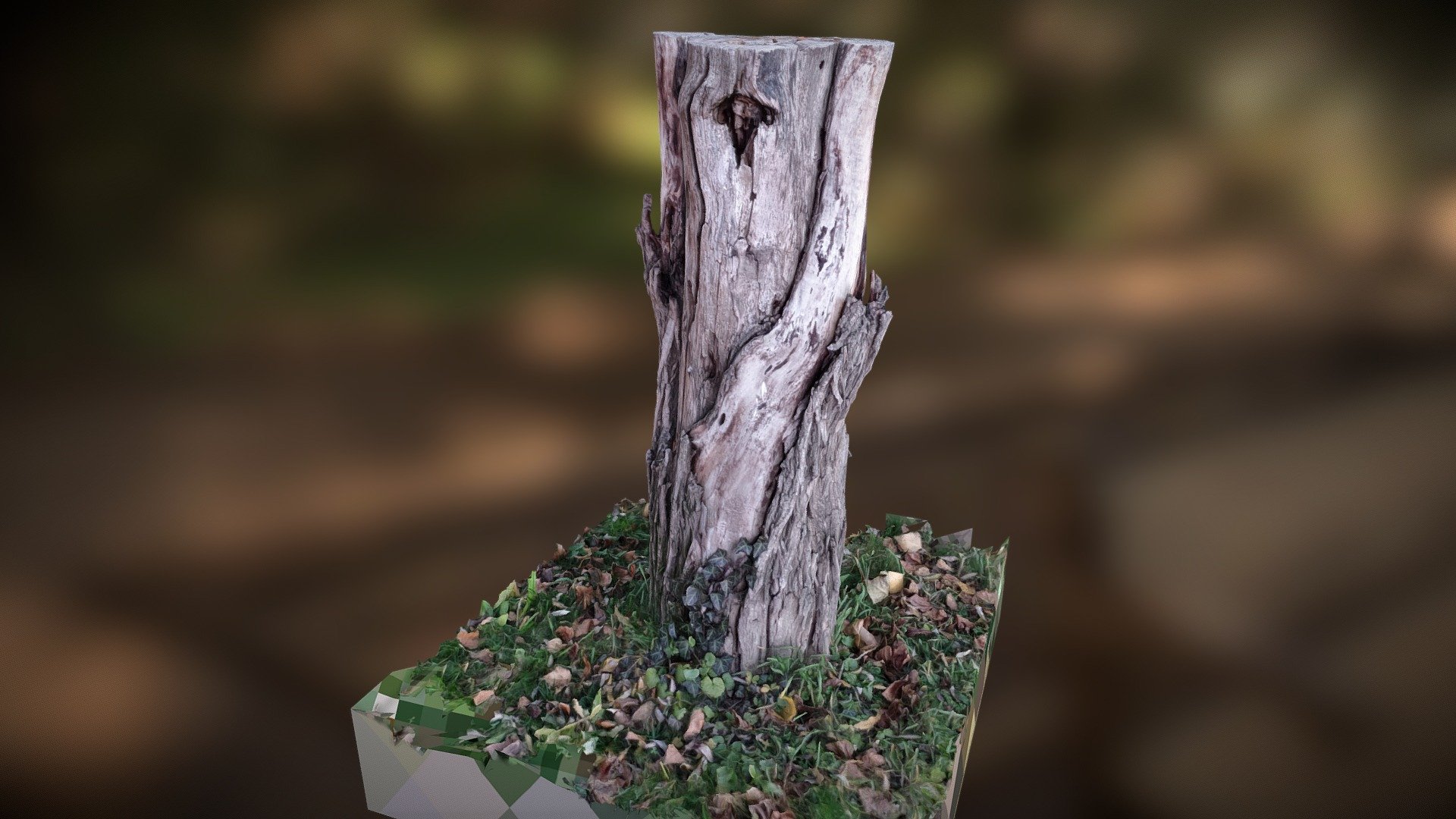 Tree Trunk - Download Free 3D model by hibari_solutions [69f2bbb ...