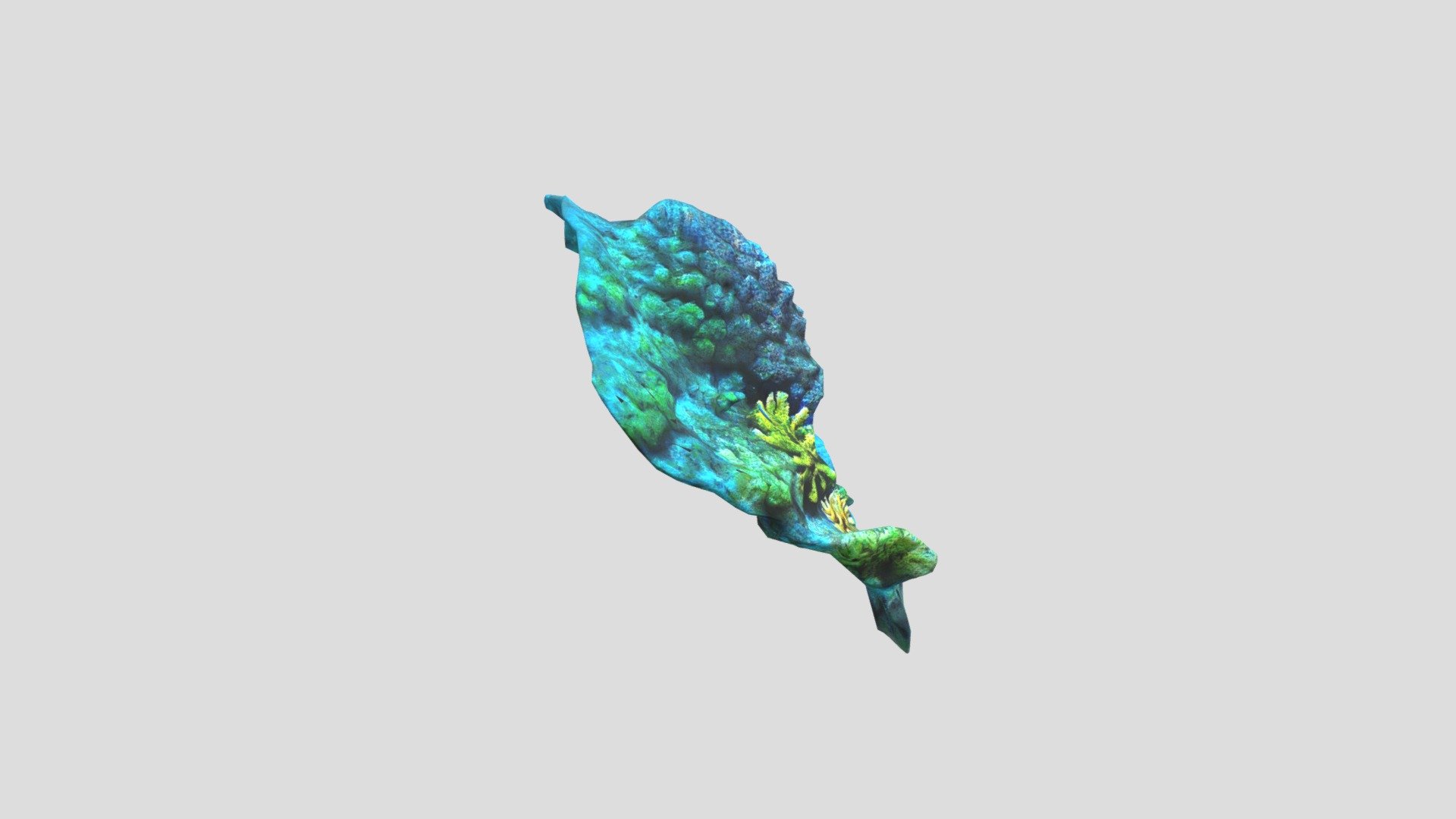 Coral Reef Wall 2 L - Download Free 3D model by stefanorivera [69ff035 ...