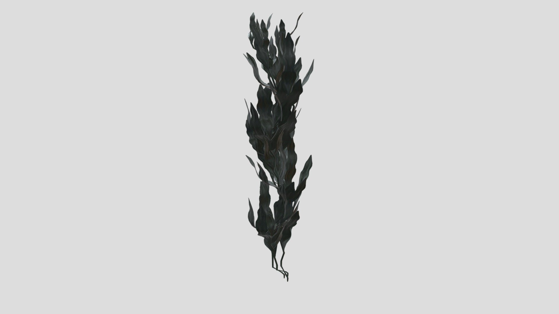 Claret Tall Seaweed - Download Free 3D model by Ben Laret (@Blaret ...