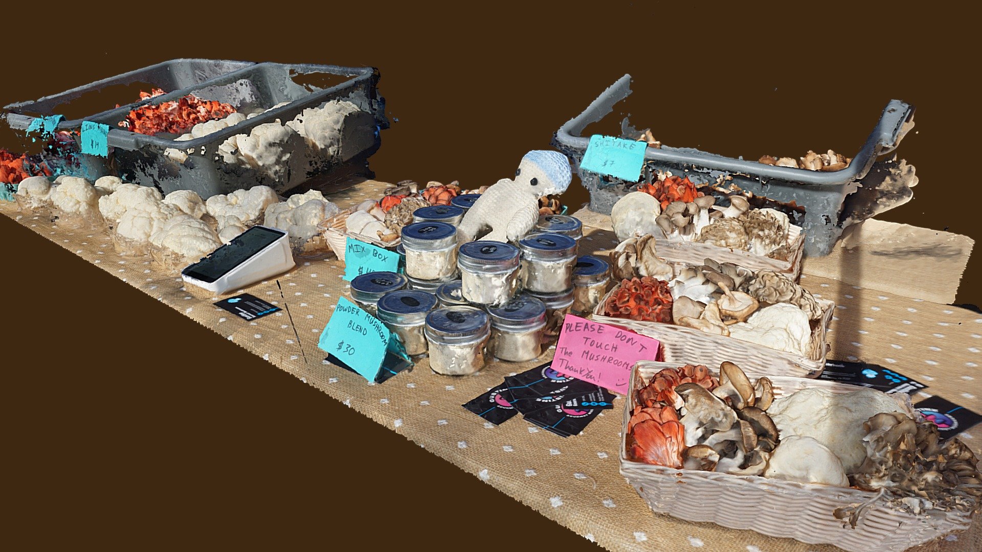 Mushrooms from Gustine - Buy Royalty Free 3D model by John Toeppen ...