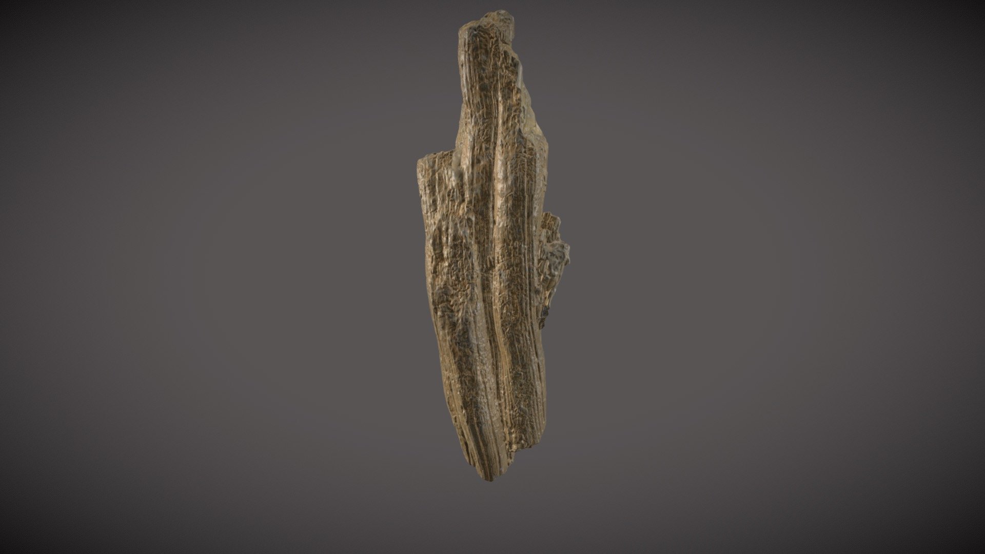 A cluster of rudists - Download Free 3D model by EDDyLab @ULiege ...