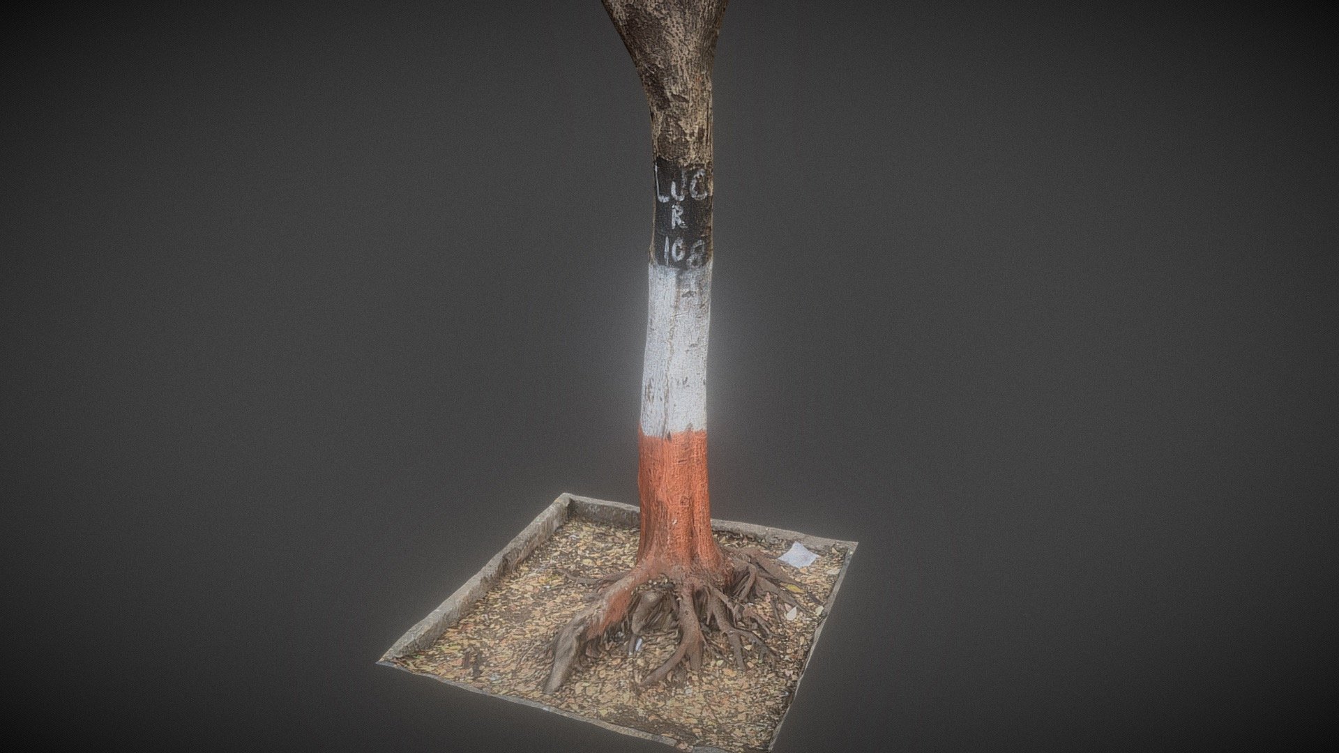 Tree Trunk - Download Free 3D model by raobott [6a18fcd] - Sketchfab