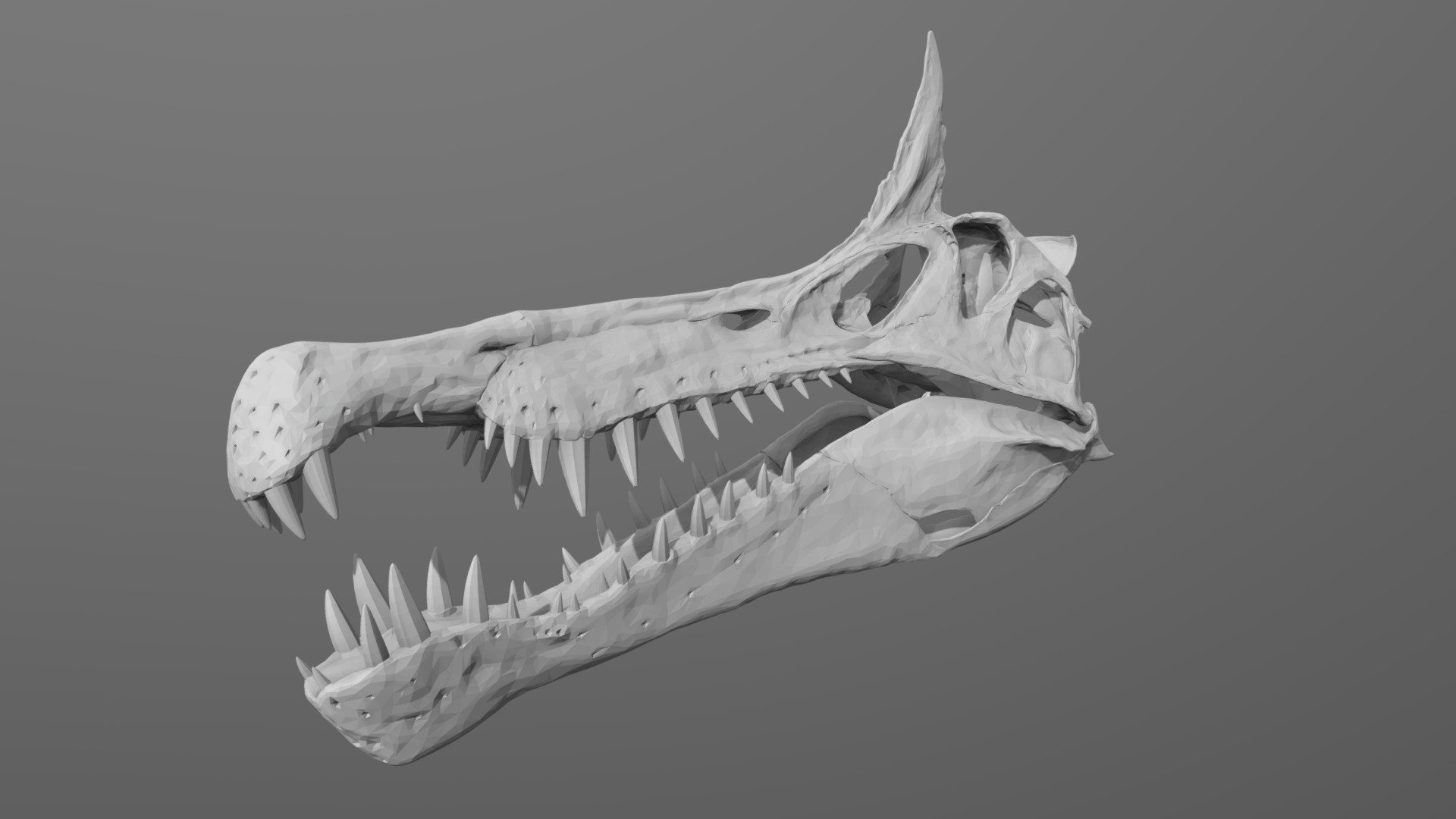 (OLD) Spinosaurus Mirabilis - 3D model by Oakyere [6a1be8d] - Sketchfab