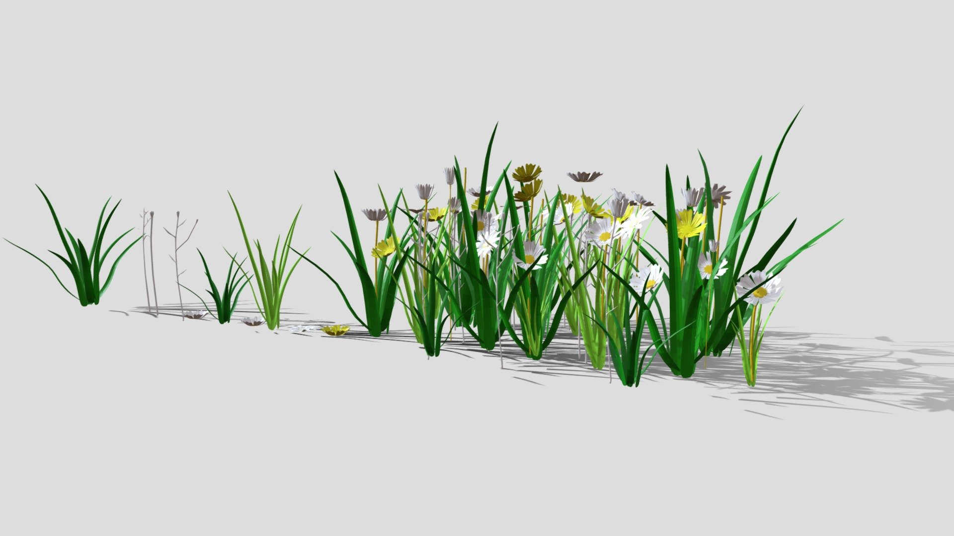 Grash Plant | grash with flower | grasses - Download Free 3D model by roish_mir [6a21386 ...