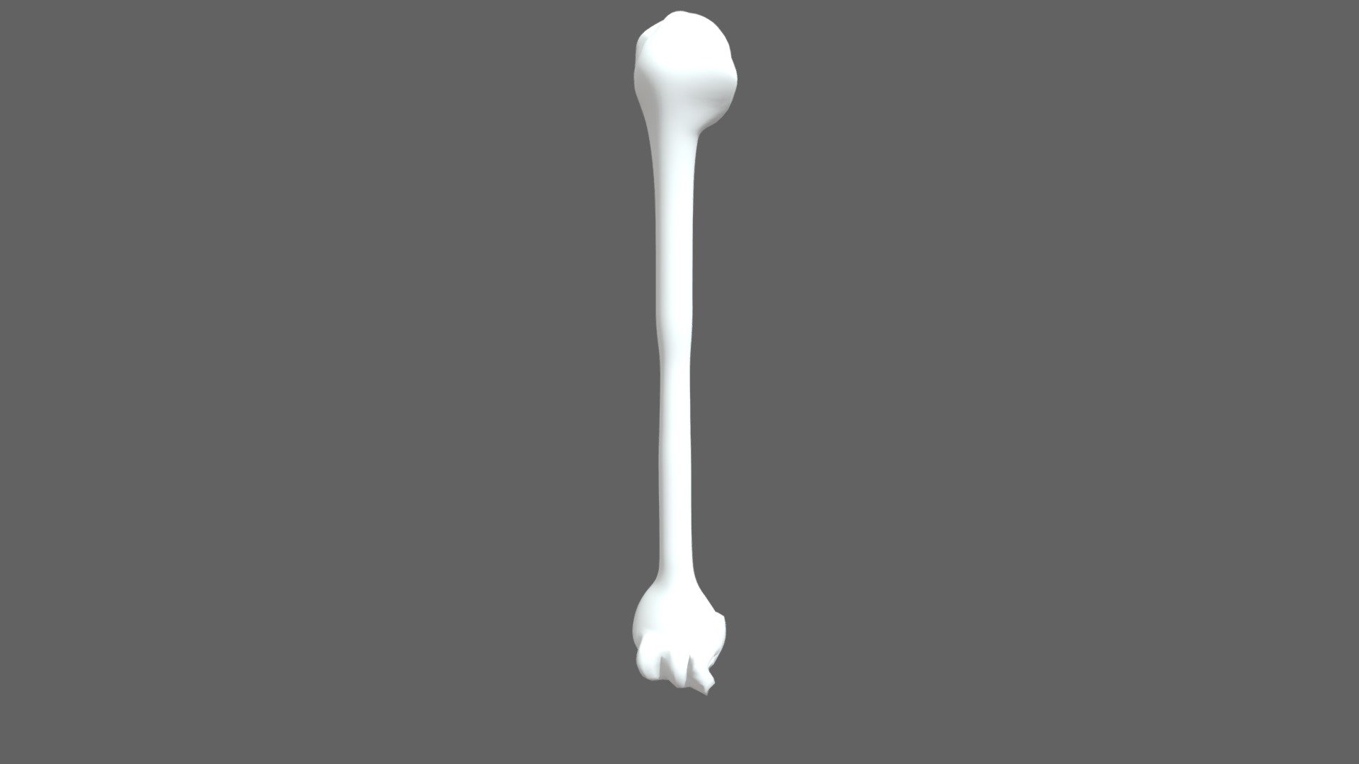 Humerus - Download Free 3D model by Team Skeleton Wars (@skeletonwars ...