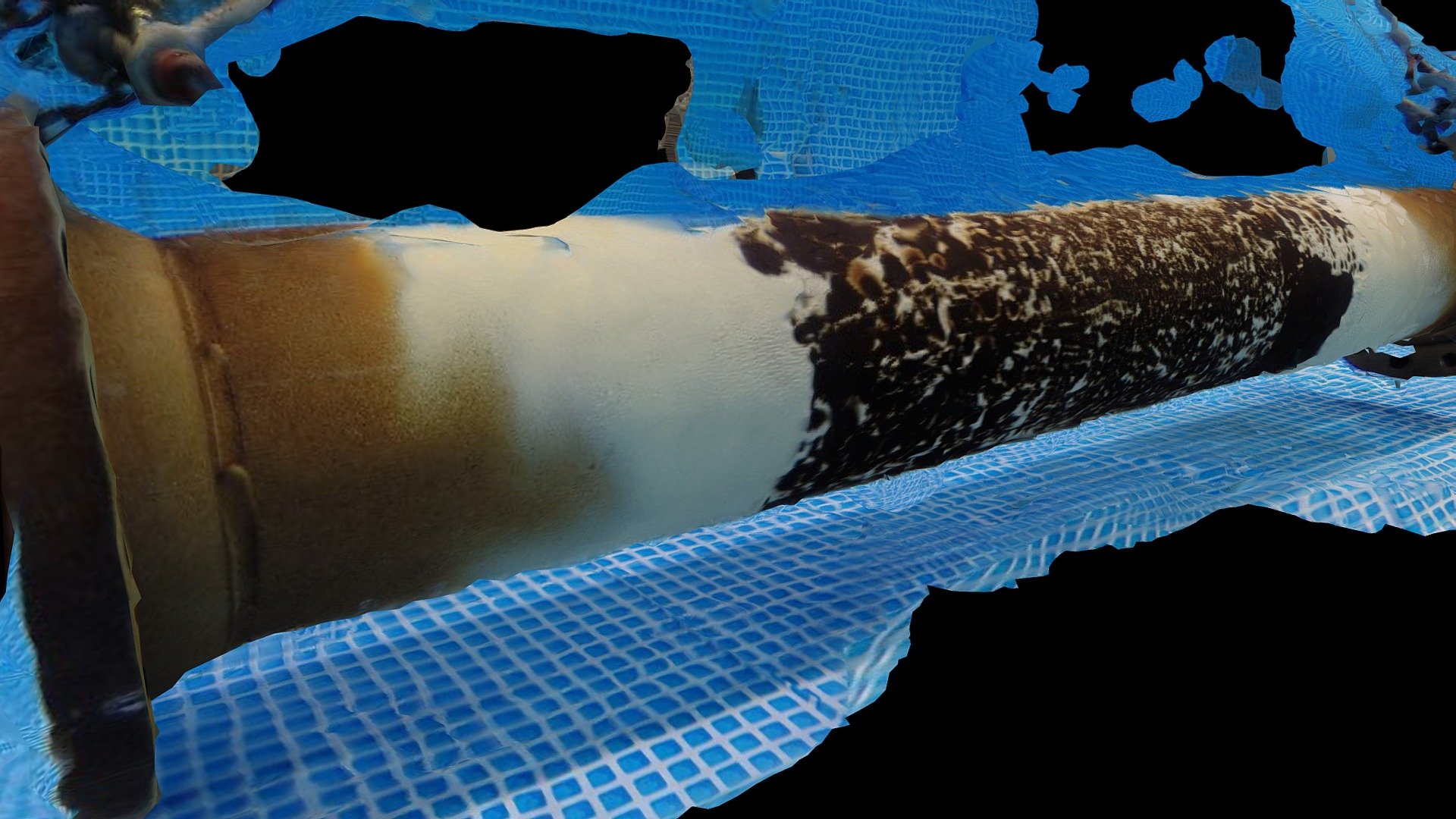 Sub Pipe - Gopro 3 Low Res Filtering And Ibm - 3D model by Agellus ...