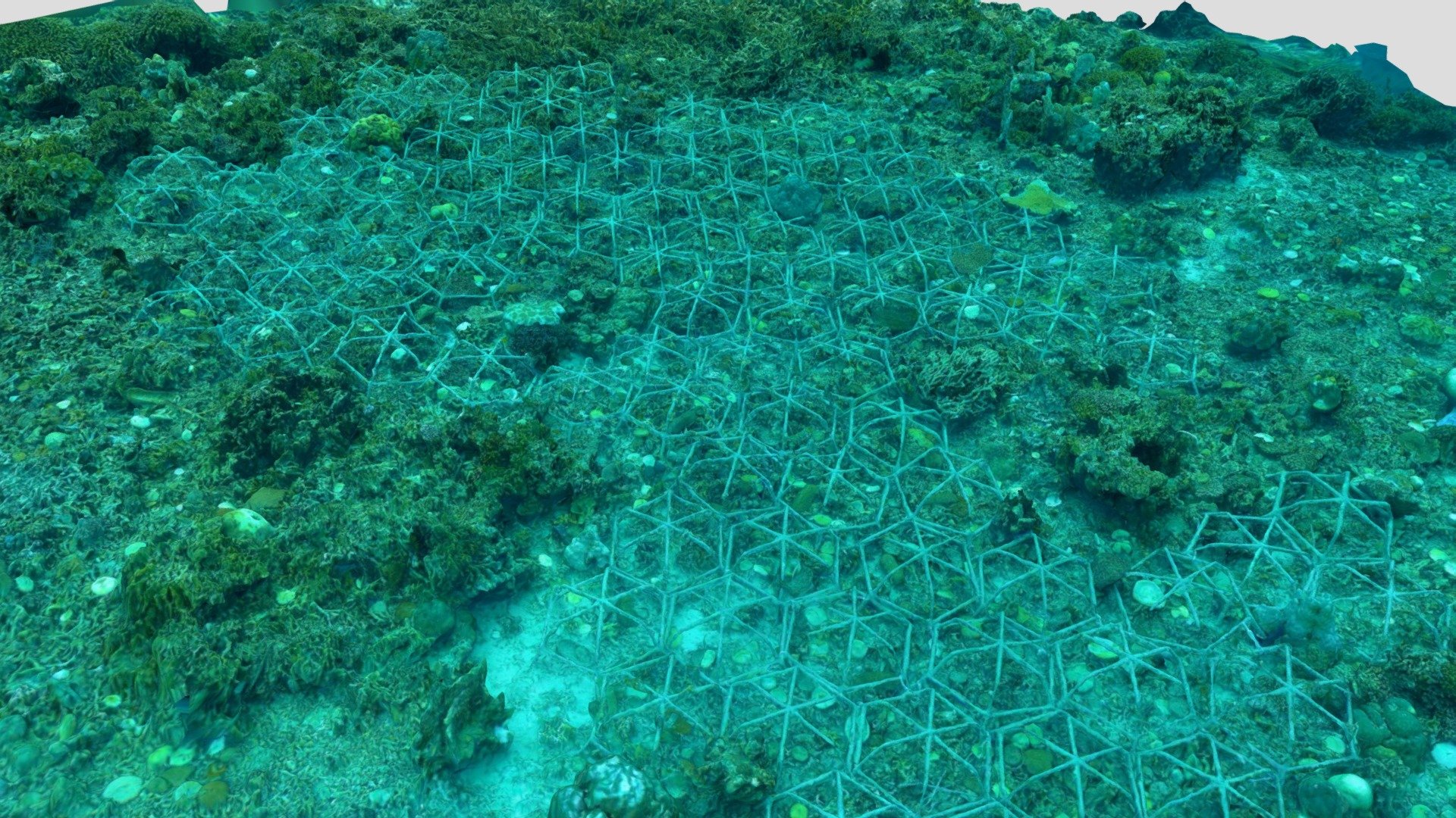 Nirwana Buton Villa reef star installation - 3D model by Jon ...