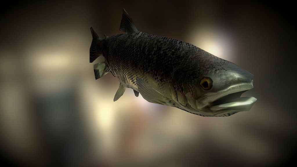Rainbow Trout - 3D model by Kramaa (@MiguelOrtega) [6a301f3] - Sketchfab