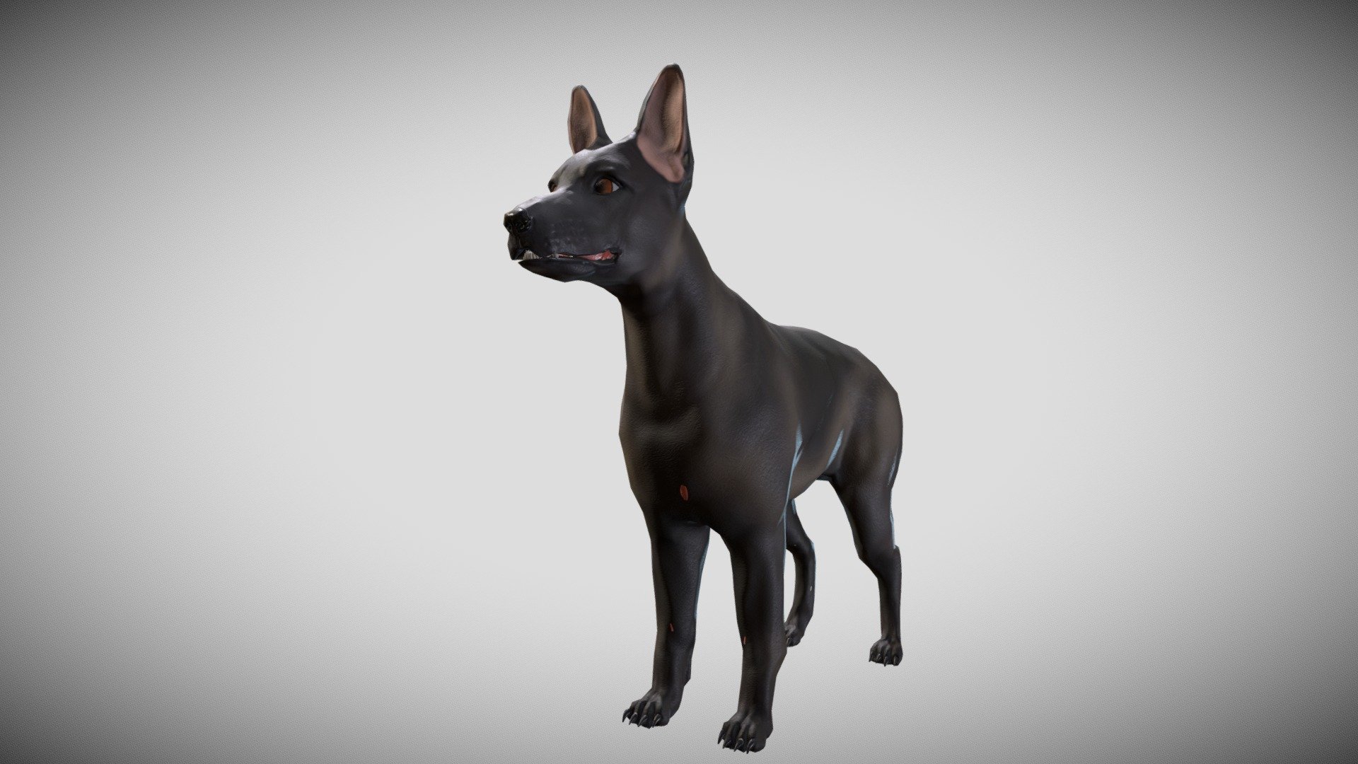 German Shepherd - Anatomy Study - 3D model by Edward Ro (@edwardro ...