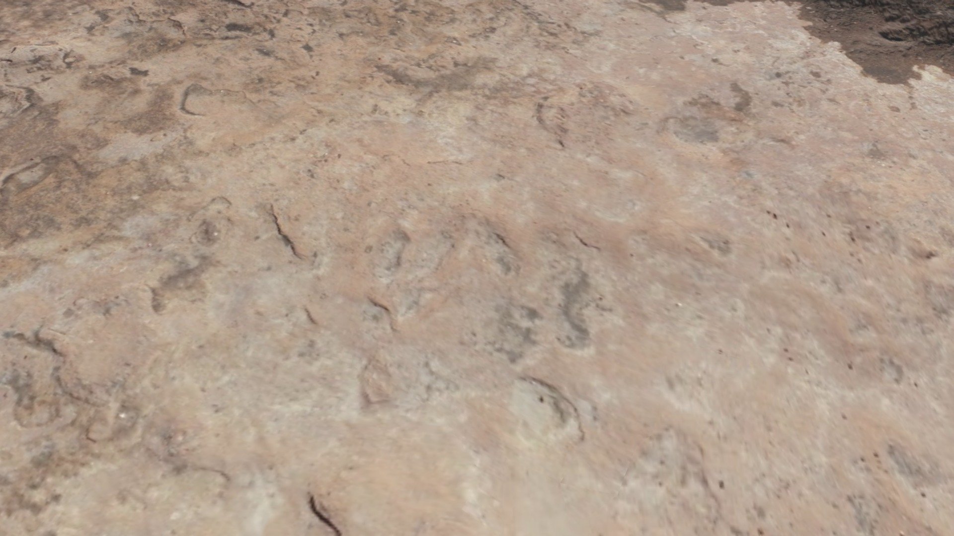 Dinosaur Tracks - 3D model by GeoAvatar [6a4e5a7] - Sketchfab