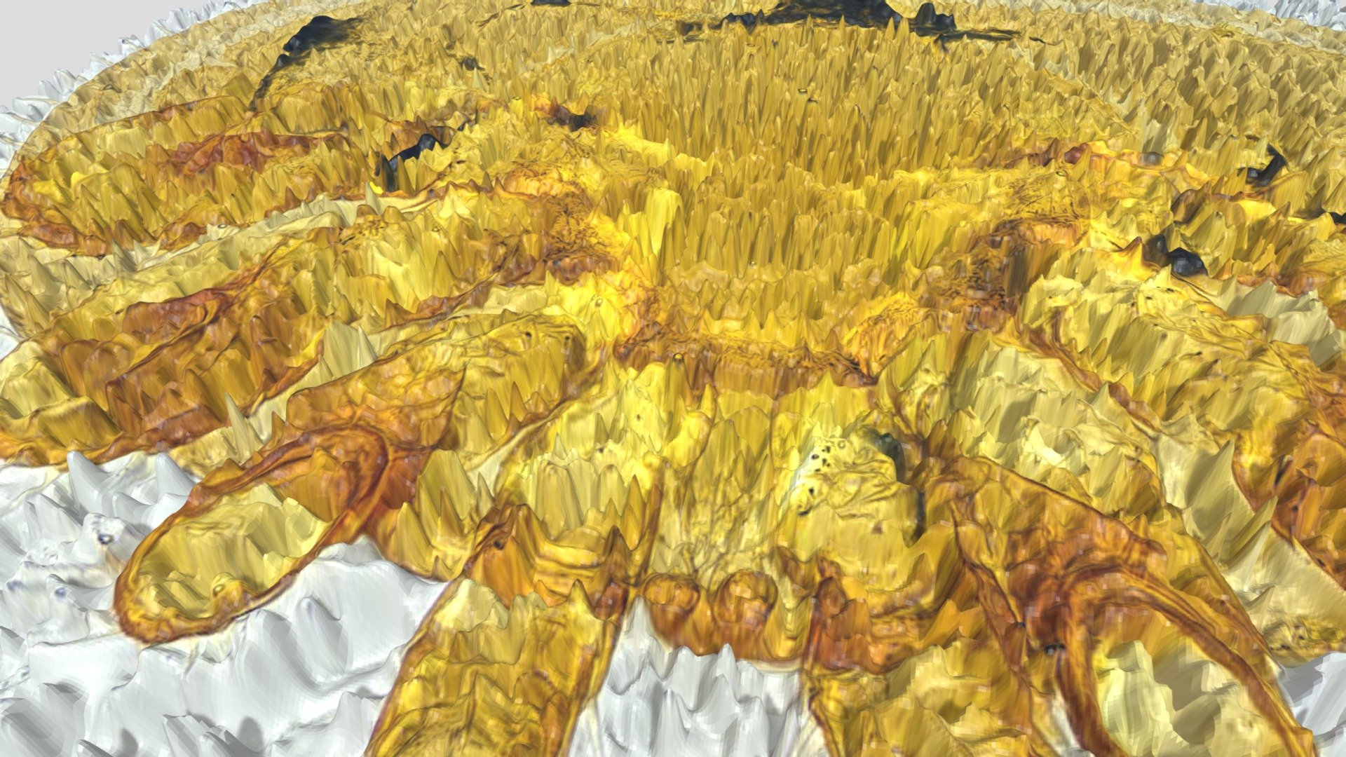 Varroa_Mite - 3D model by ADi (@AD-i) [6a4faee] - Sketchfab