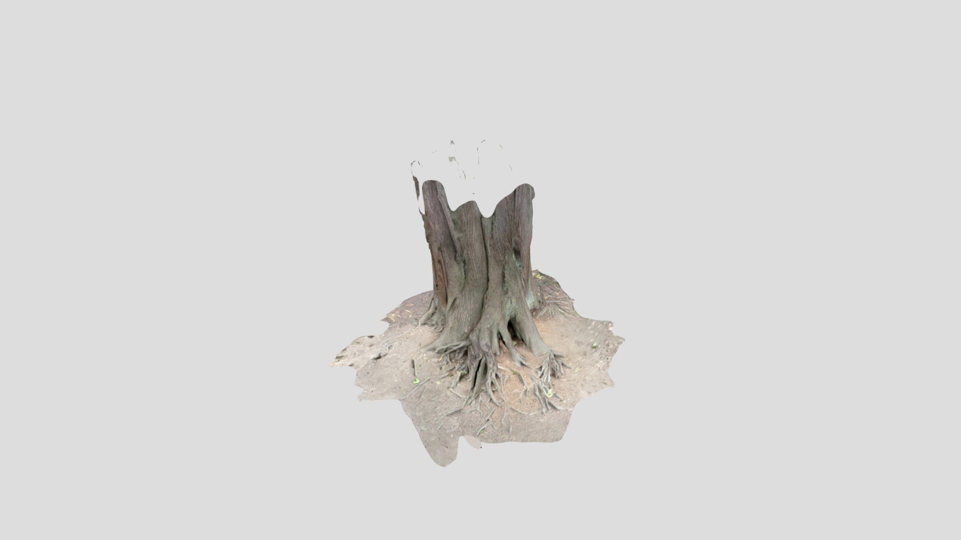 The tree with feet - Download Free 3D model by danger_dad [6a54675 ...