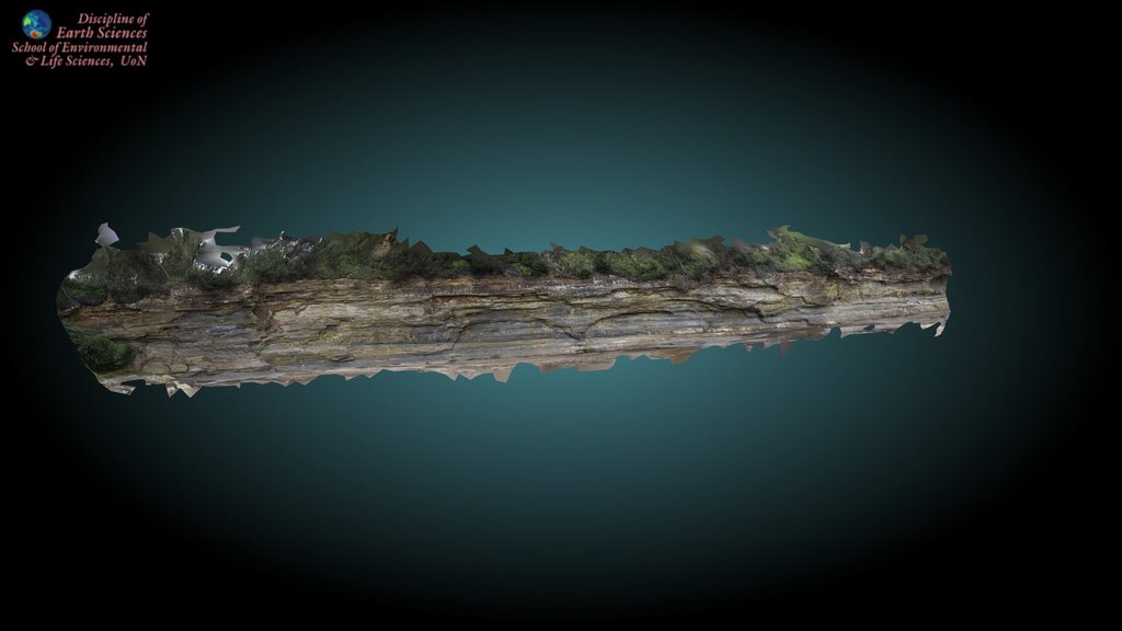 Outcrop models - A 3D model collection by Earth Sciences, University of ...