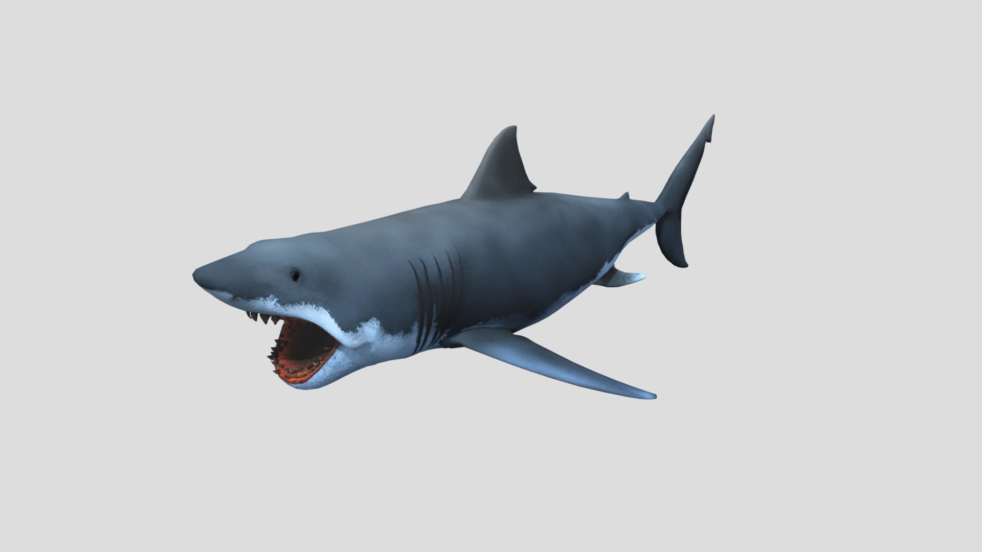 Jaws Bruce - Download Free 3D model by Love me pls (@LoveMeToo ...