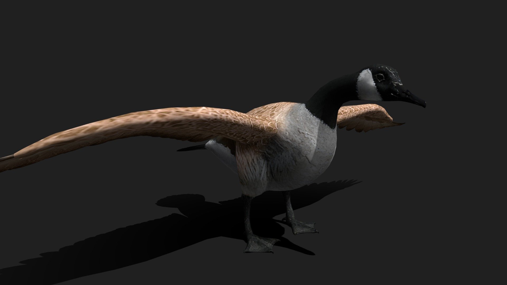 Realistic Goose 3D Model - Download Free 3D model by WildMesh 3D ...