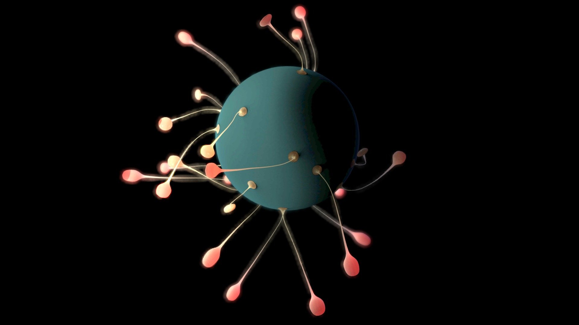 Particle-trace-model7 - Download Free 3D model by metagrowing [6a75238 ...