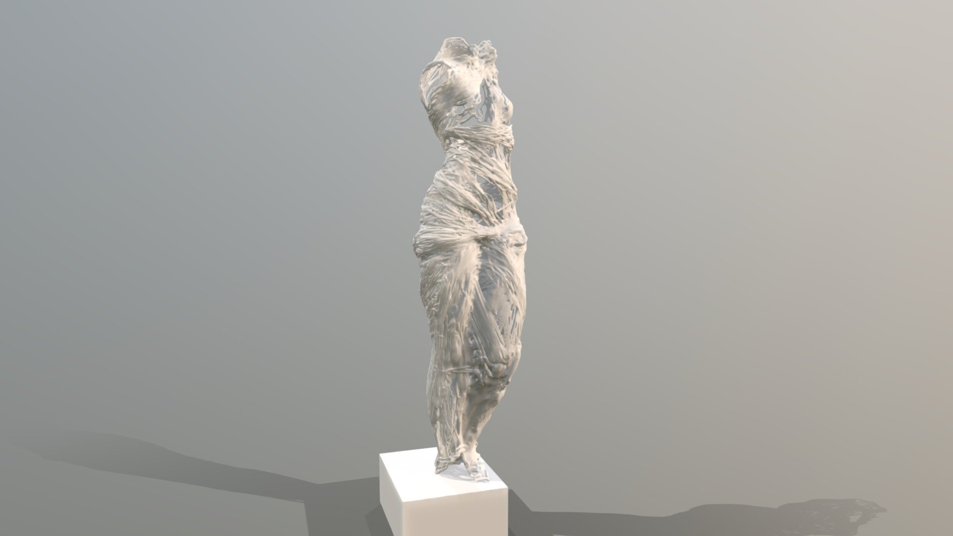 Venus-wrapped01 - 3D model by bourgoynestudio [6a7be62] - Sketchfab