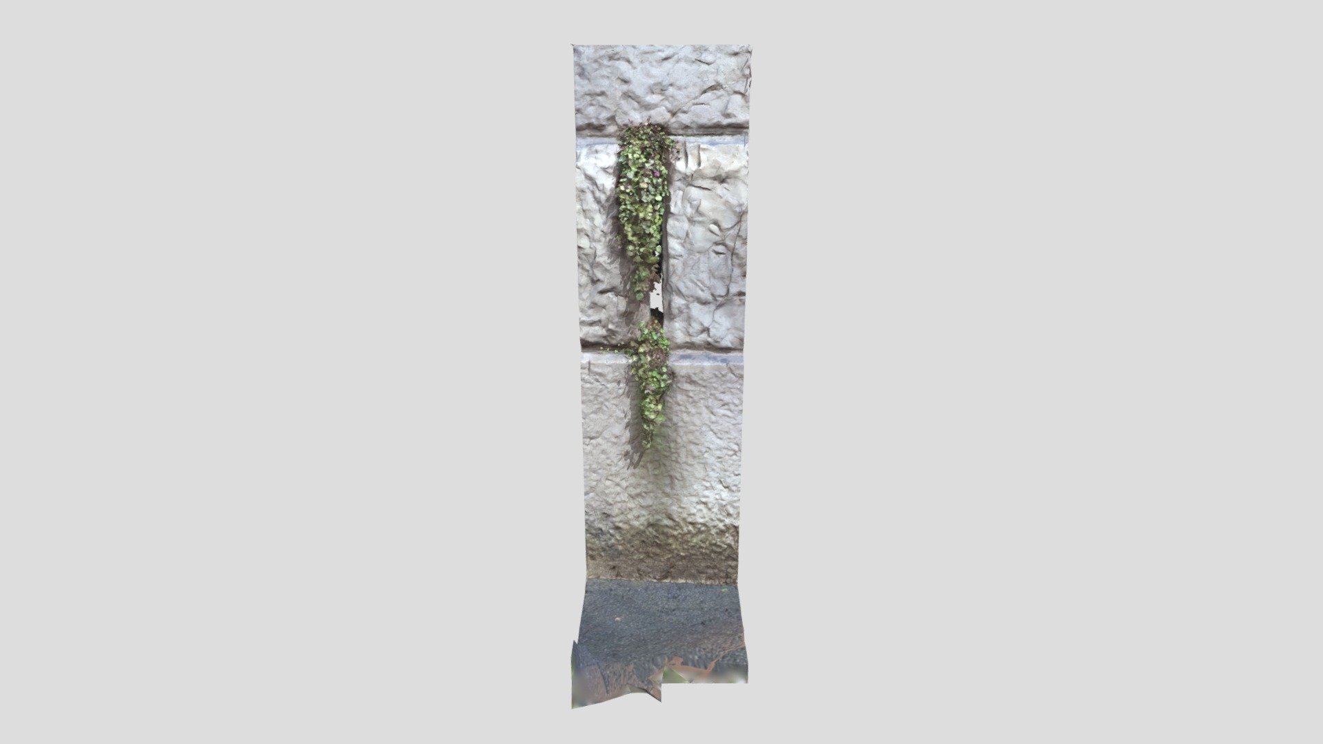 wallplant_100k_Aaron_Senn - 3D model by Hybrid Reality Research ...