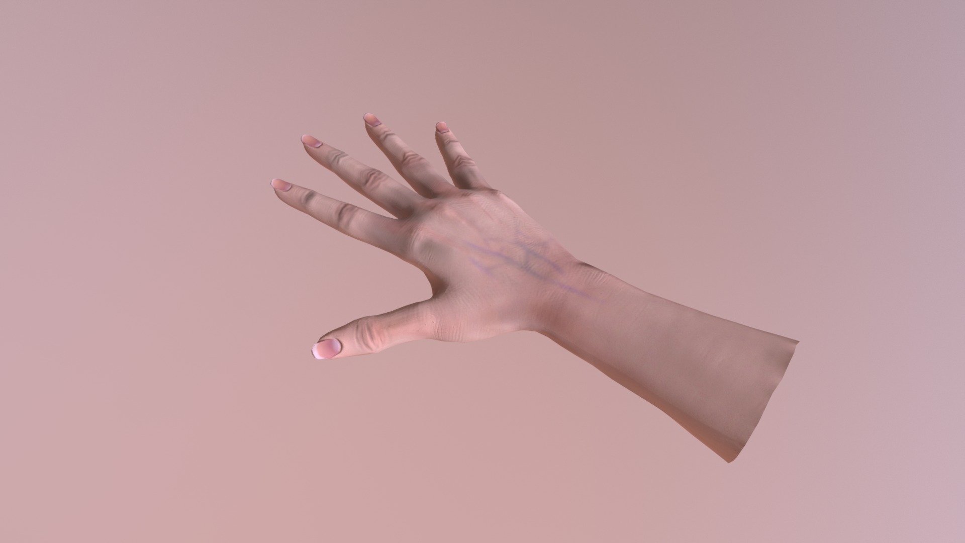 Hand - 3D model by miaomiaou [6a86e08] - Sketchfab