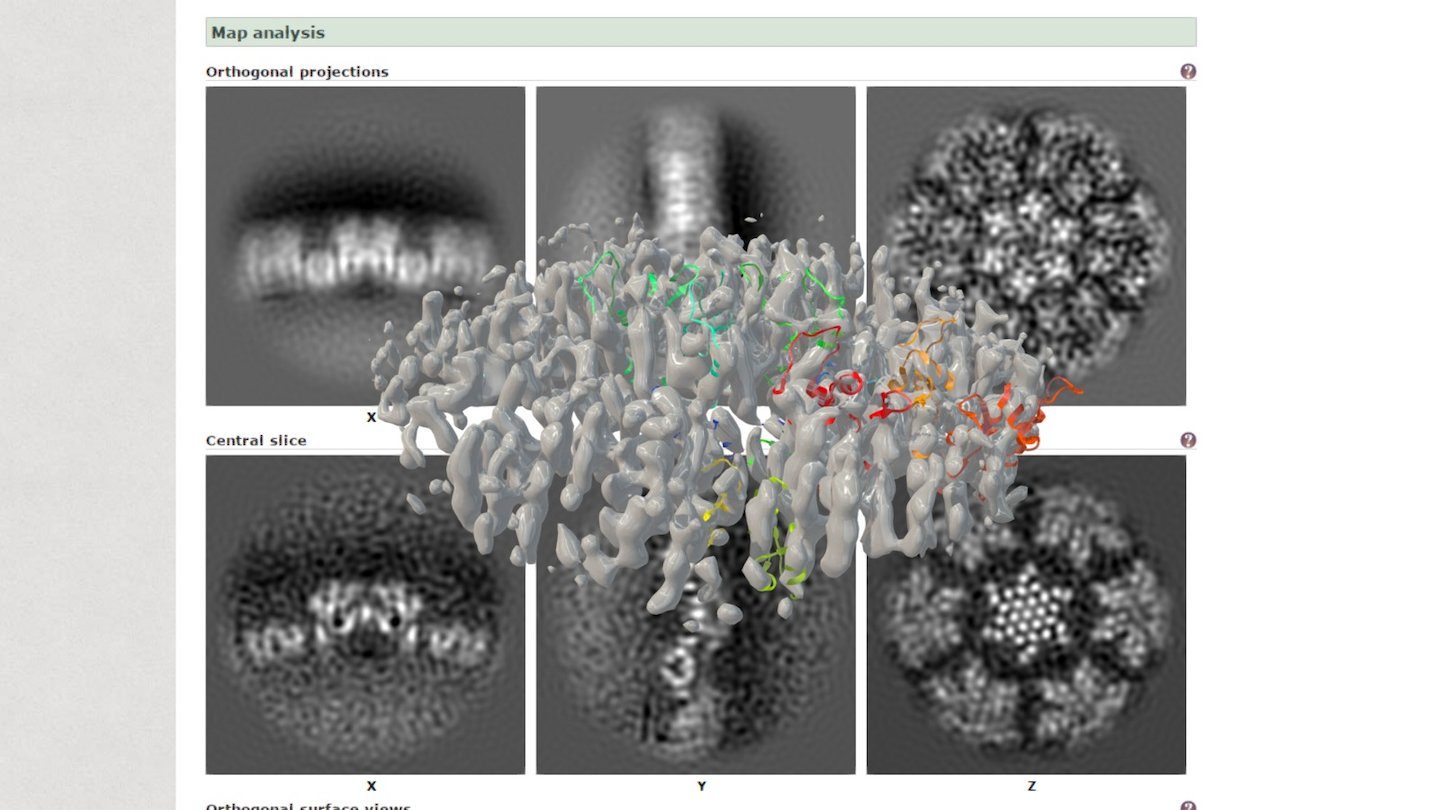 EMDB › EMD-3473 - 3D model by Interactive 3D Data (@proteinsimulation ...