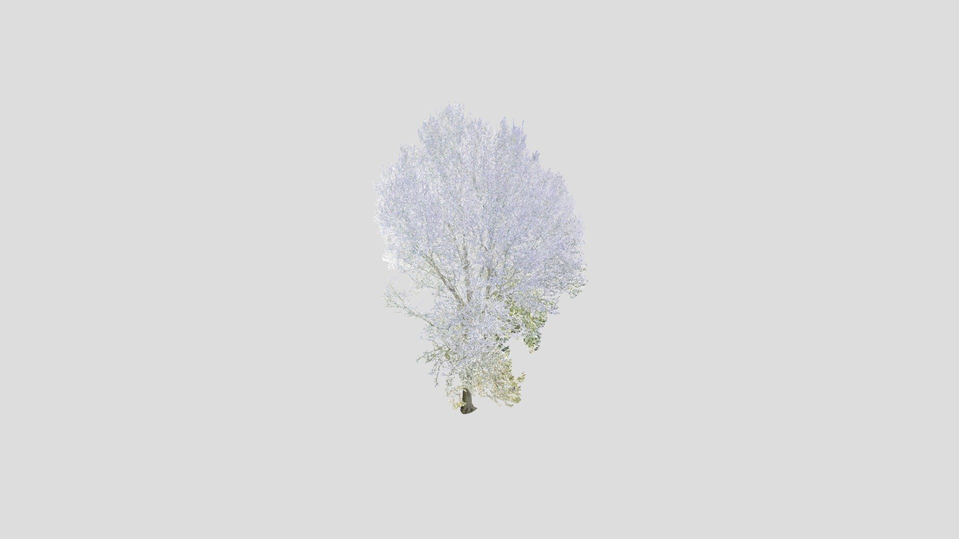 Tree Point Cloud - Buy Royalty Free 3D model by magnum_opus (@tree ...