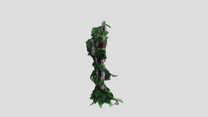 Vines 3D models - Sketchfab