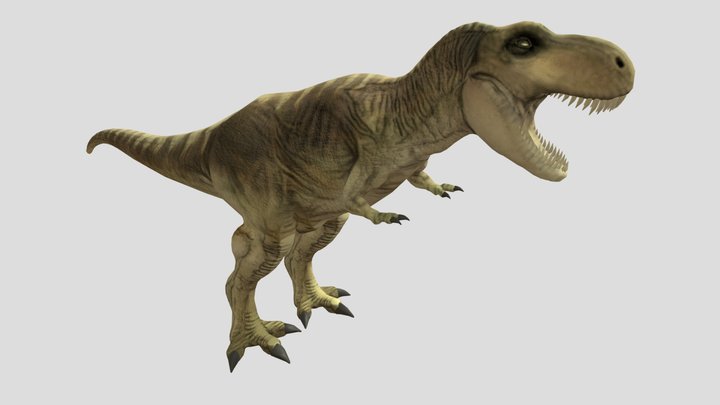 T-rex 3D models - Sketchfab