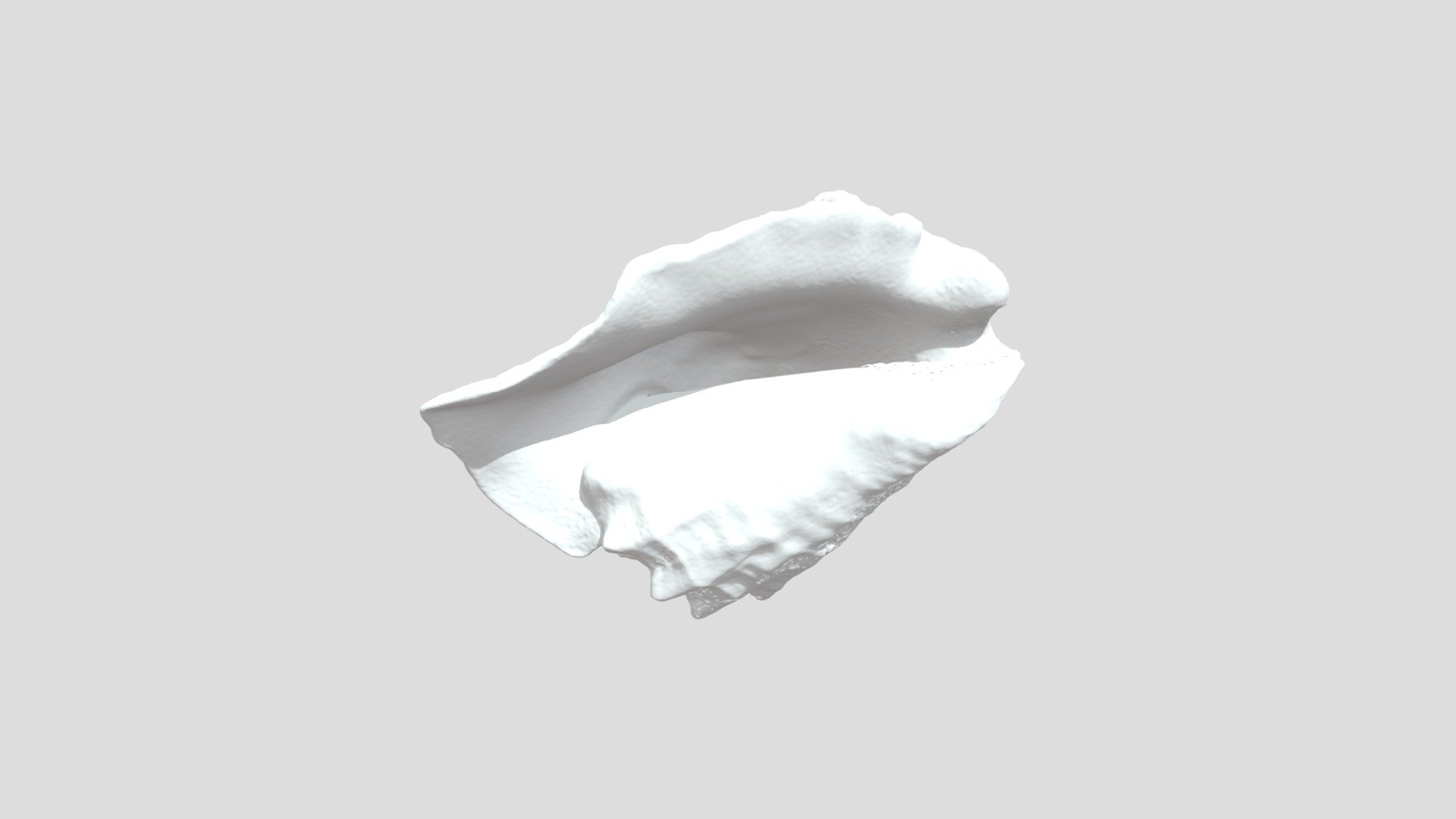 Conch Shell Mesh Stl - 3D model by Phoxyyy [6ab72db] - Sketchfab