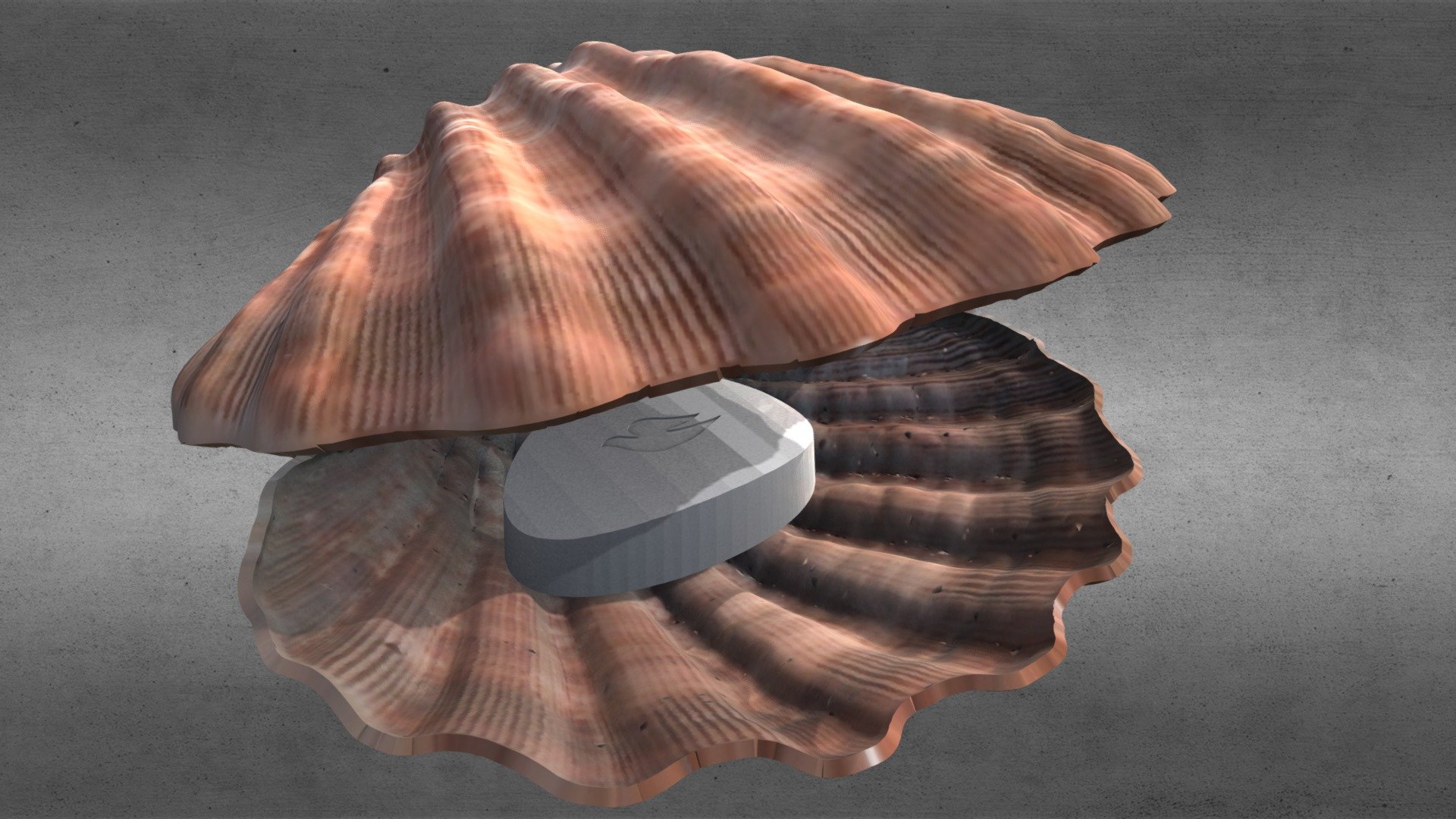 14-Seashell - 3D model by Ahmed Ali (@Ahmed_M_Ali) [6ac17d7] - Sketchfab