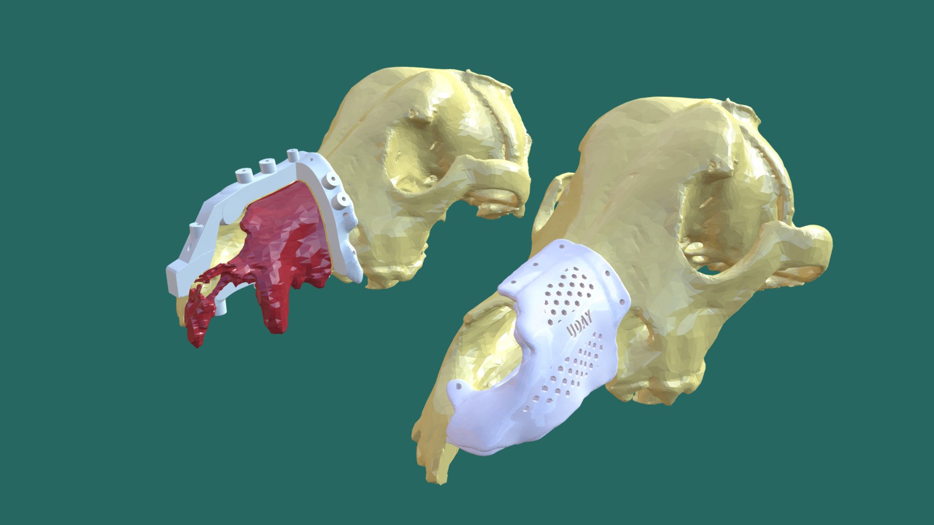 3D printed surgical guides and Implant for a dog - 3D model by ...
