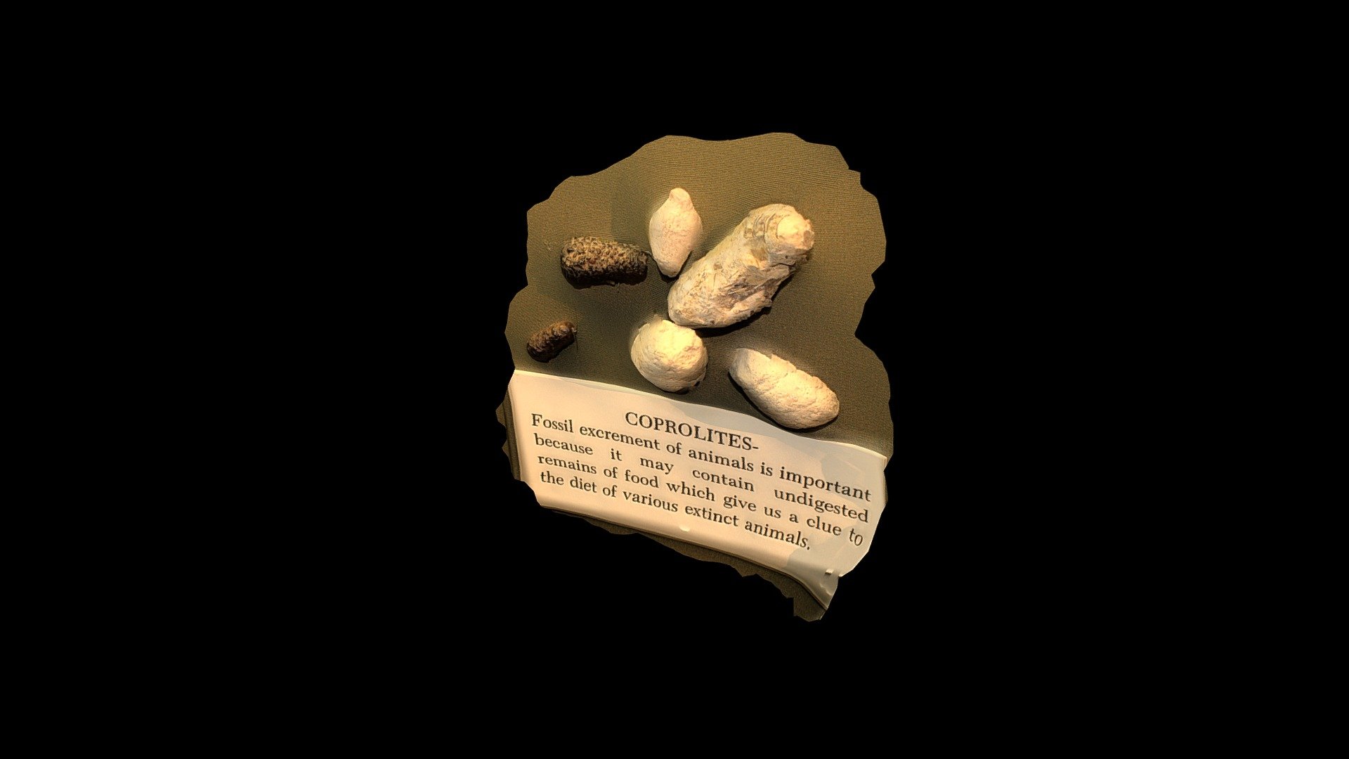 Coprolite - 3D model by ESUEarthSci [6ac1d80] - Sketchfab