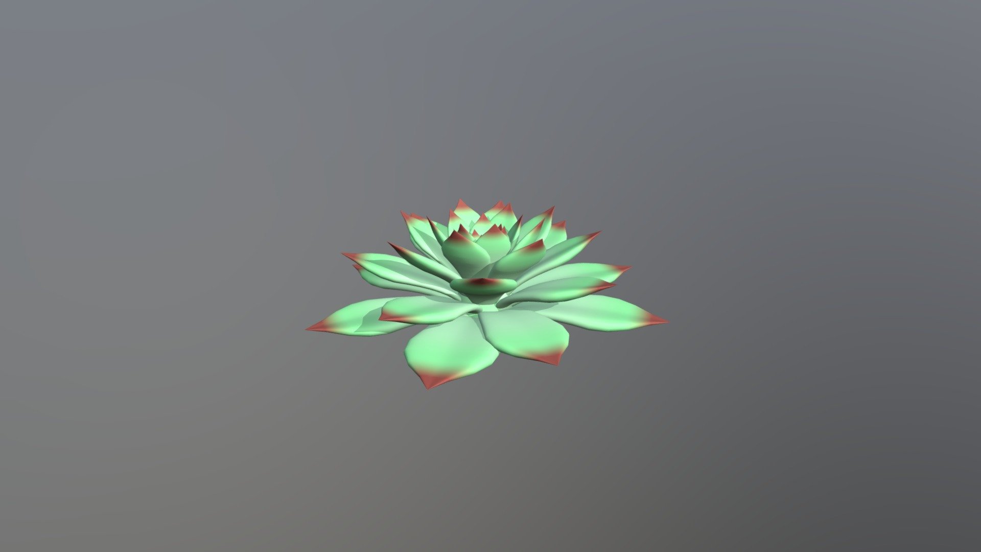 Stylized Succulent - Download Free 3D model by modelnprint3D [6acf069 ...