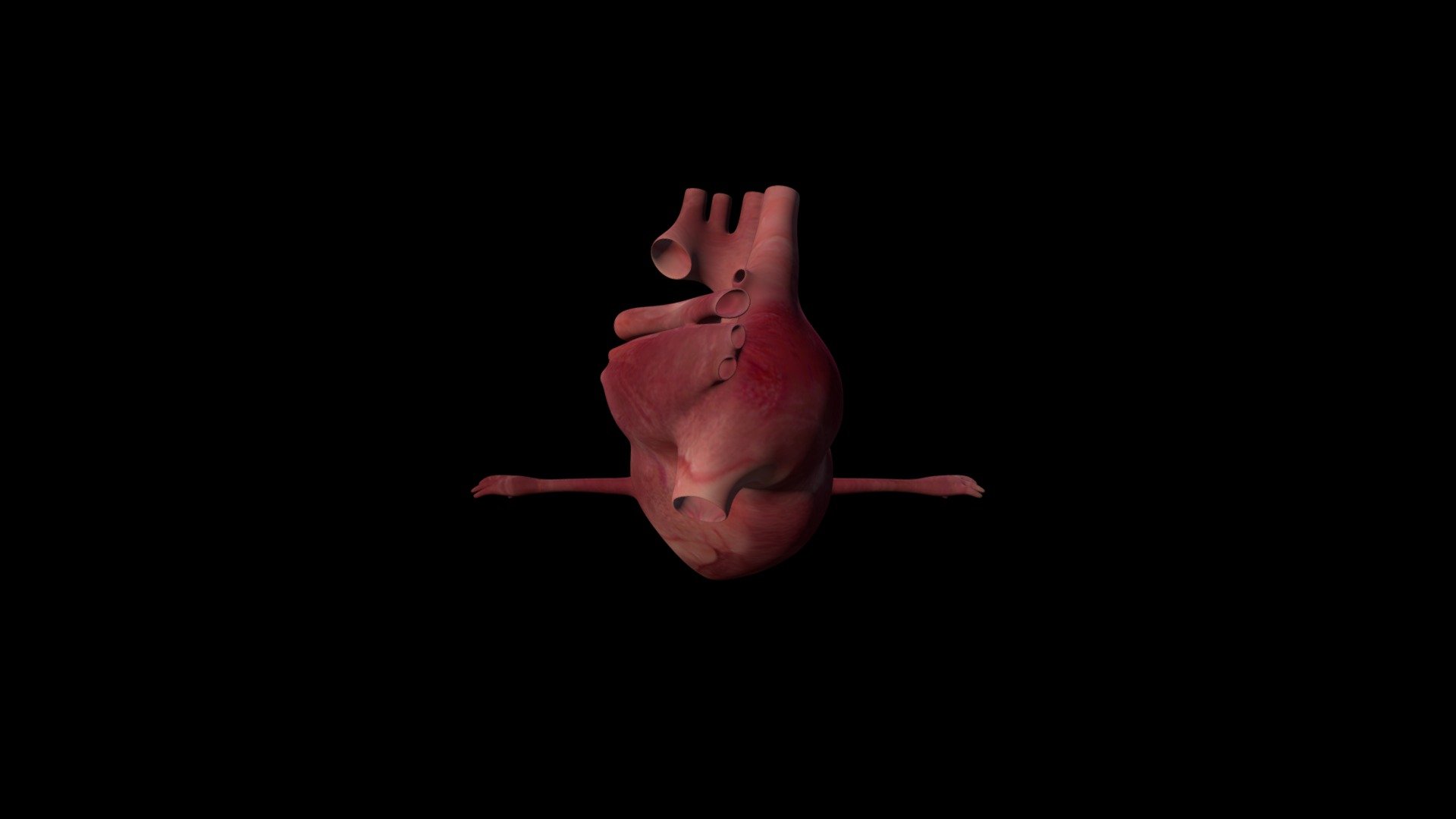 Sirdis H - 3D model by Paulius [6acf417] - Sketchfab