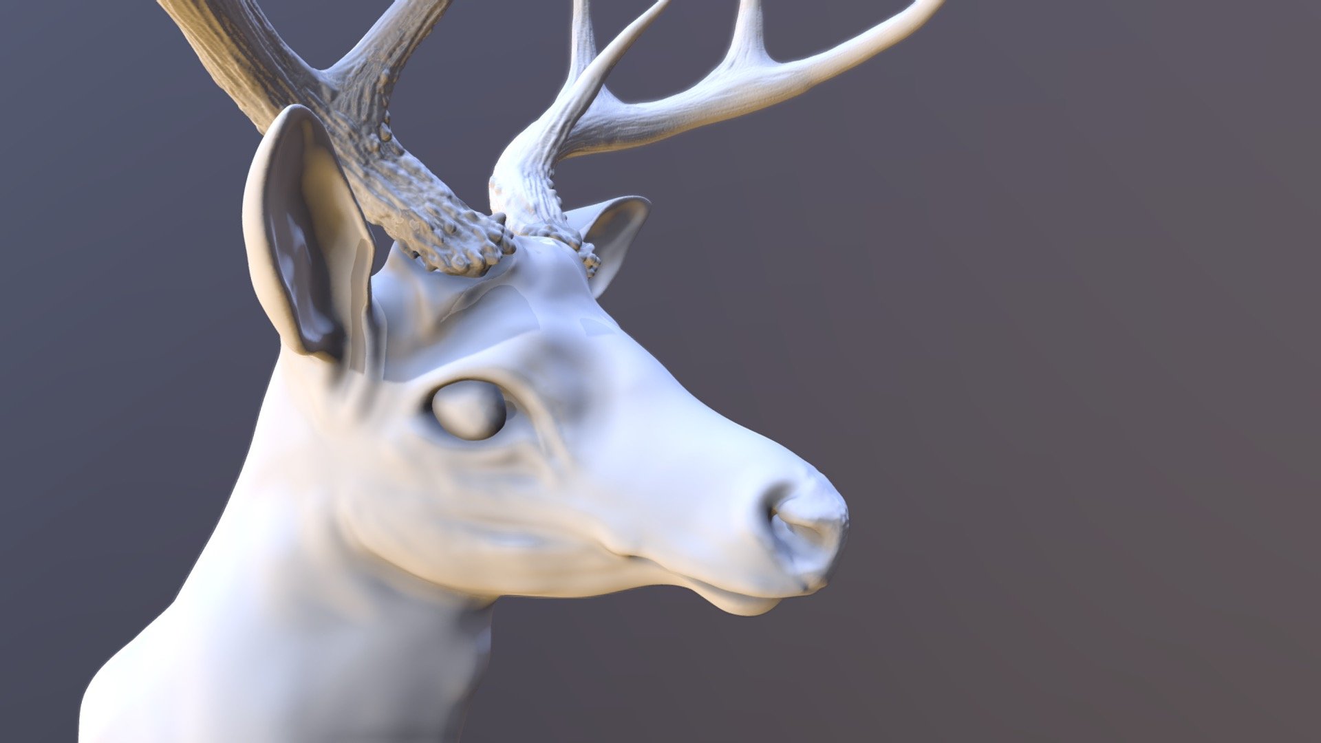 Deer - 3D model by Works by Tash (@worksbytash) [6ad54c4] - Sketchfab