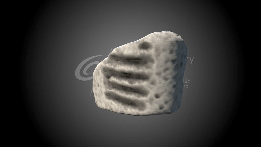 Portersgate Fragment, Ogham Stone - 3D model by The Discovery Programme ...