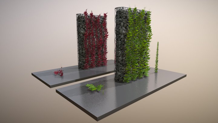 Climbing-plants 3D models - Sketchfab