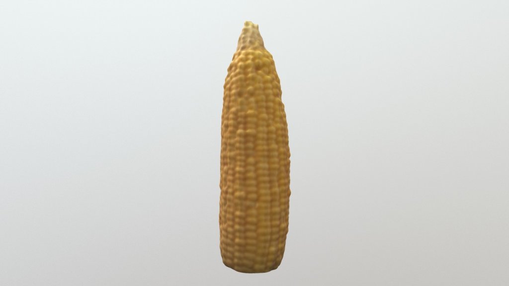 Peeled Corn Mesh - Download Free 3D model by eora 3D (@eora3d) [6ae3b4f ...